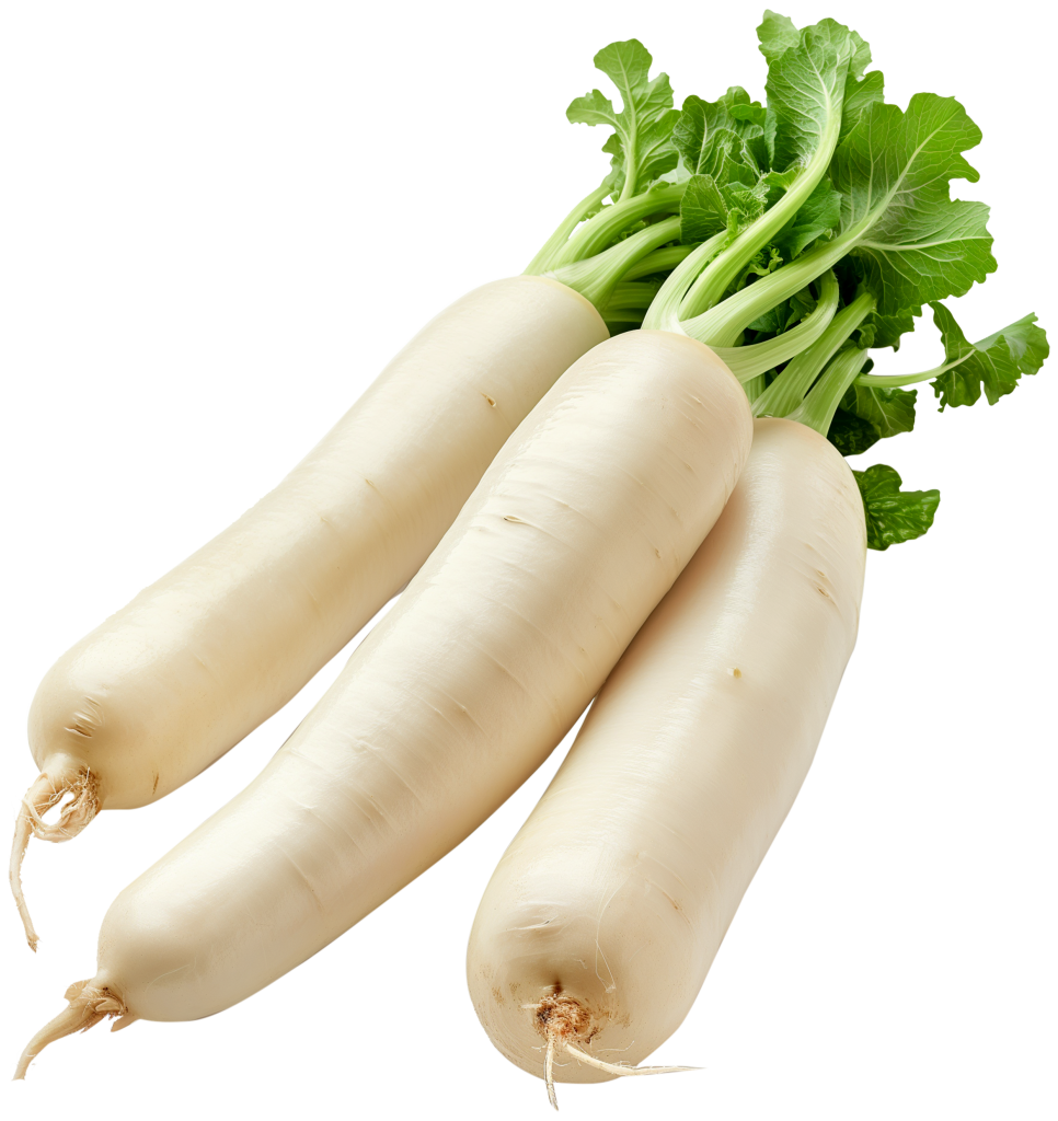Fresh White Radish (China) - Semmaafresh
