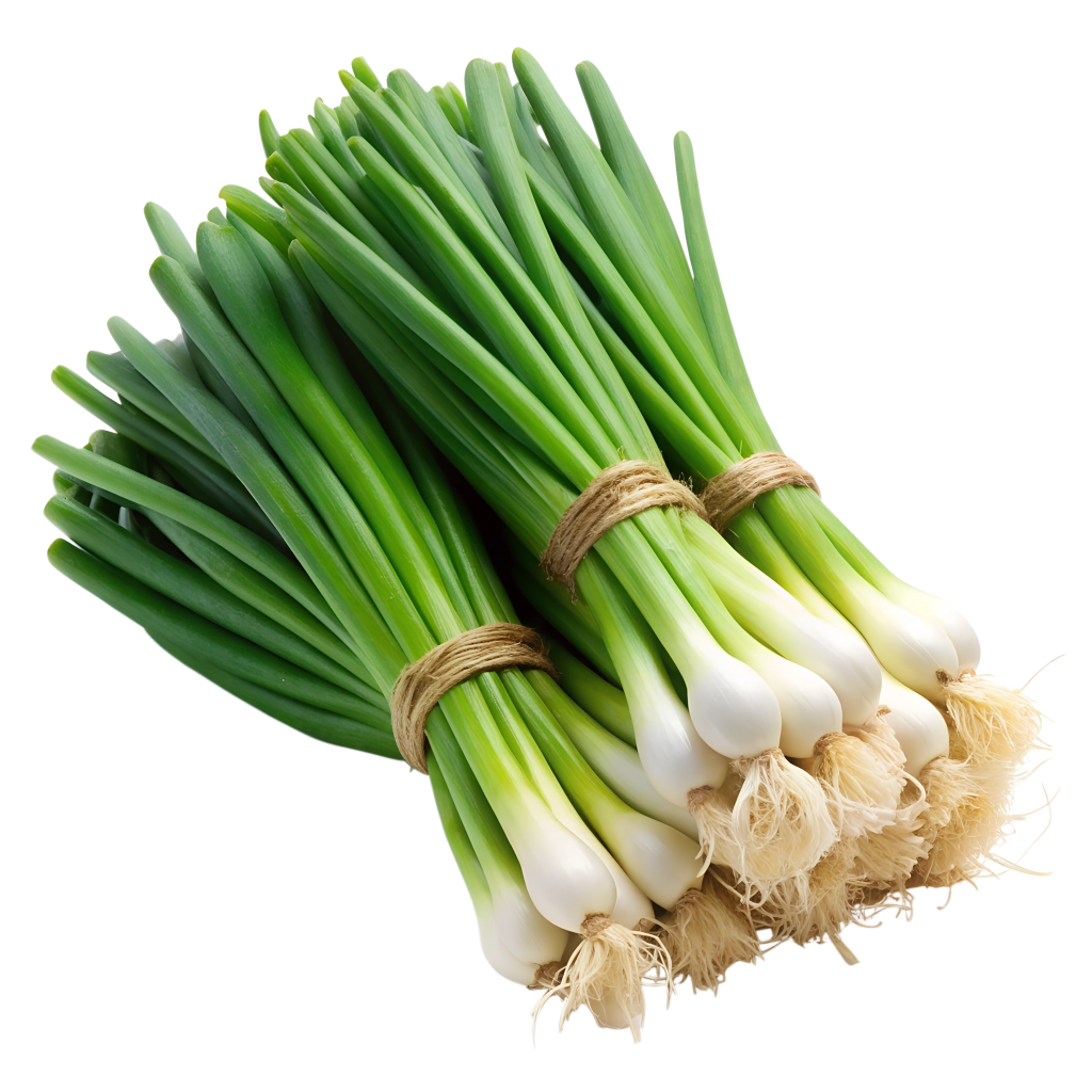 Thai Spring Onion - Semmaafresh